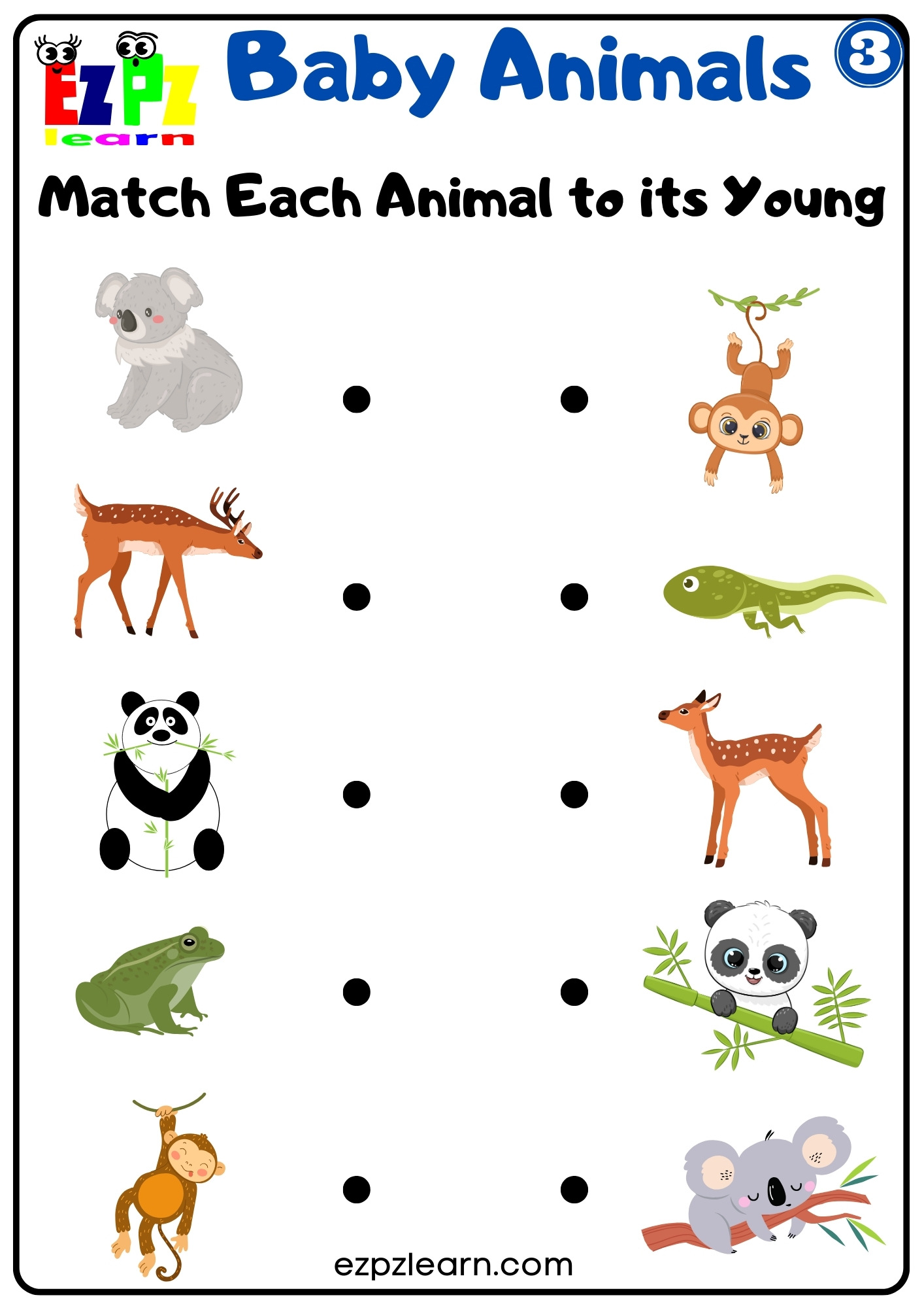 Baby Animals Vocabulary Read And Match The Animals To Their Young